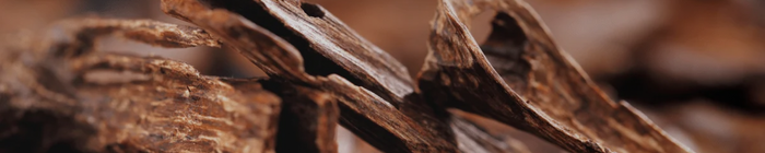 Oud Perfumes India | Authentic Oud Fragrances | Zimaya